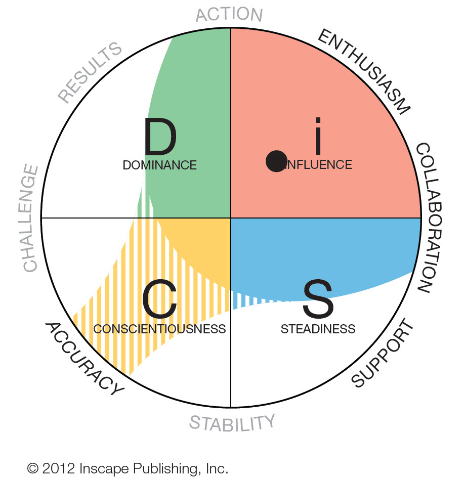 Verhaltensprofil DiSG - NEWVIEW